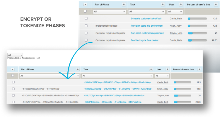 StratoKey NetSuite SuiteProjects Pro Encryption & Tokenization