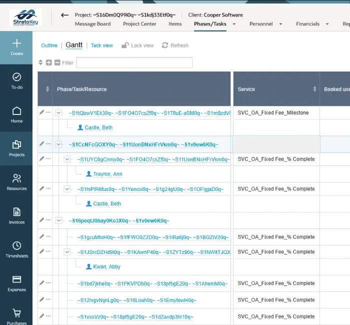 NetSuite SuiteProjects Pro Encryption and Compliance Solution